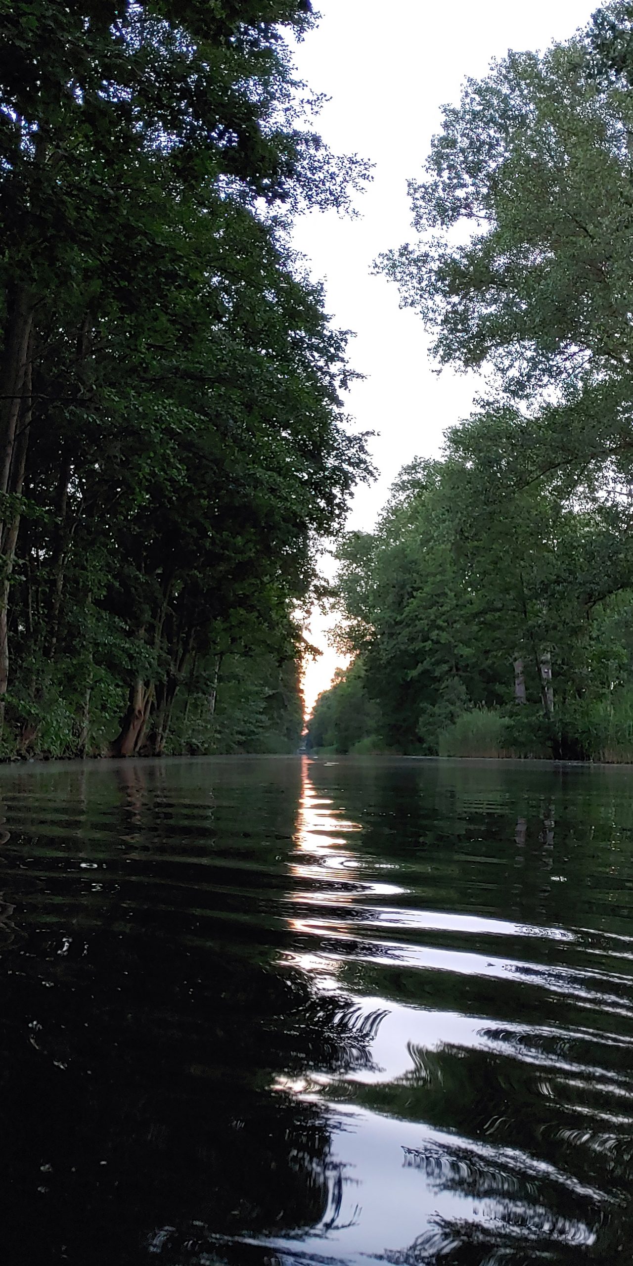 The Numinous - SoberOasis