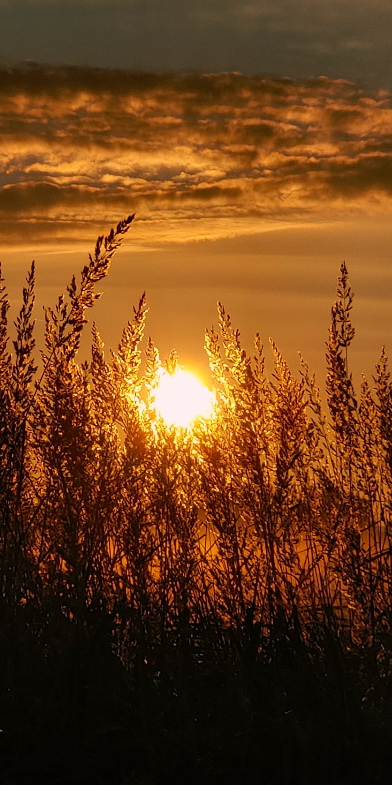 Resourcefulness - SoberOasis