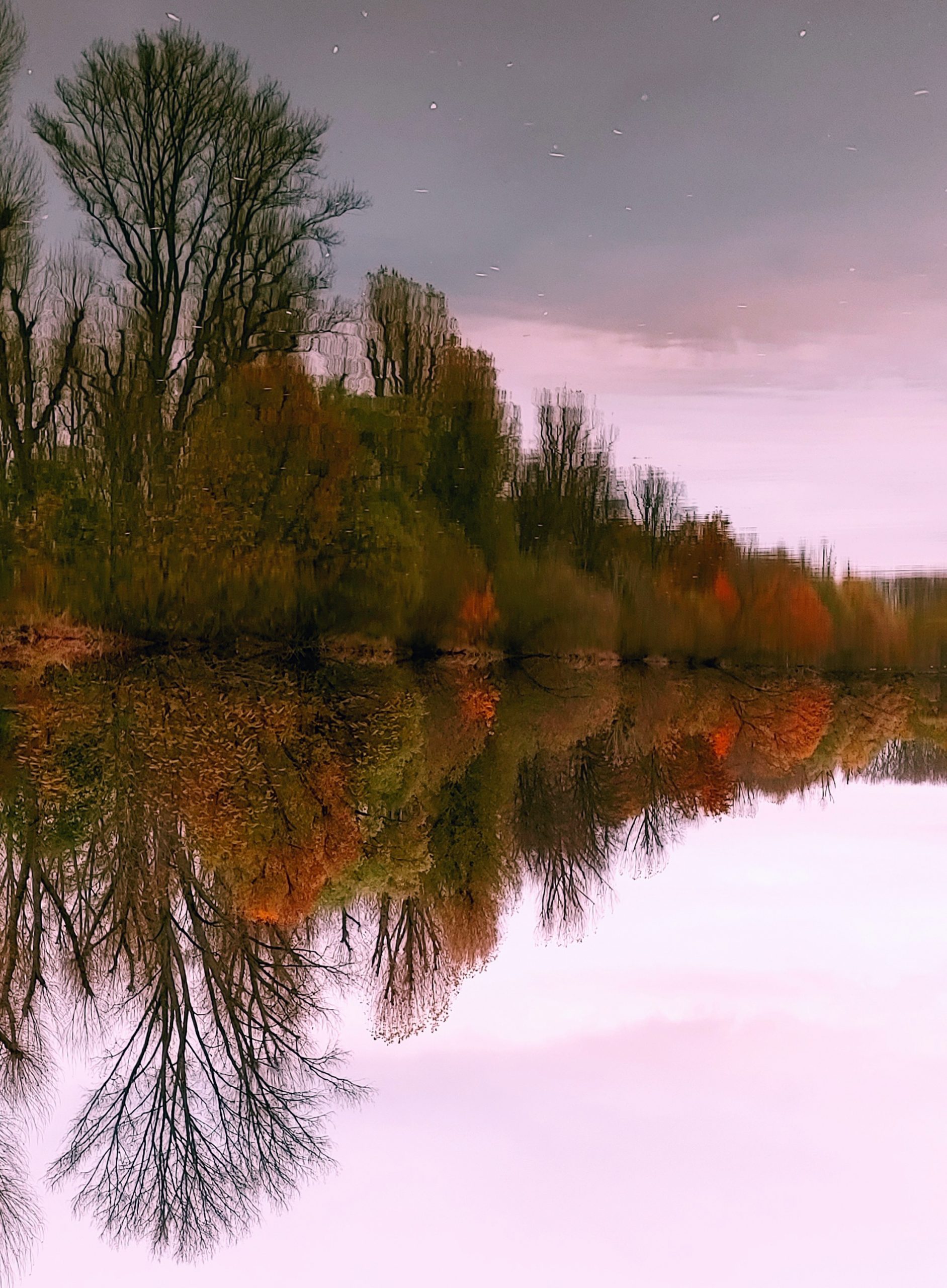 Control - SoberOasis