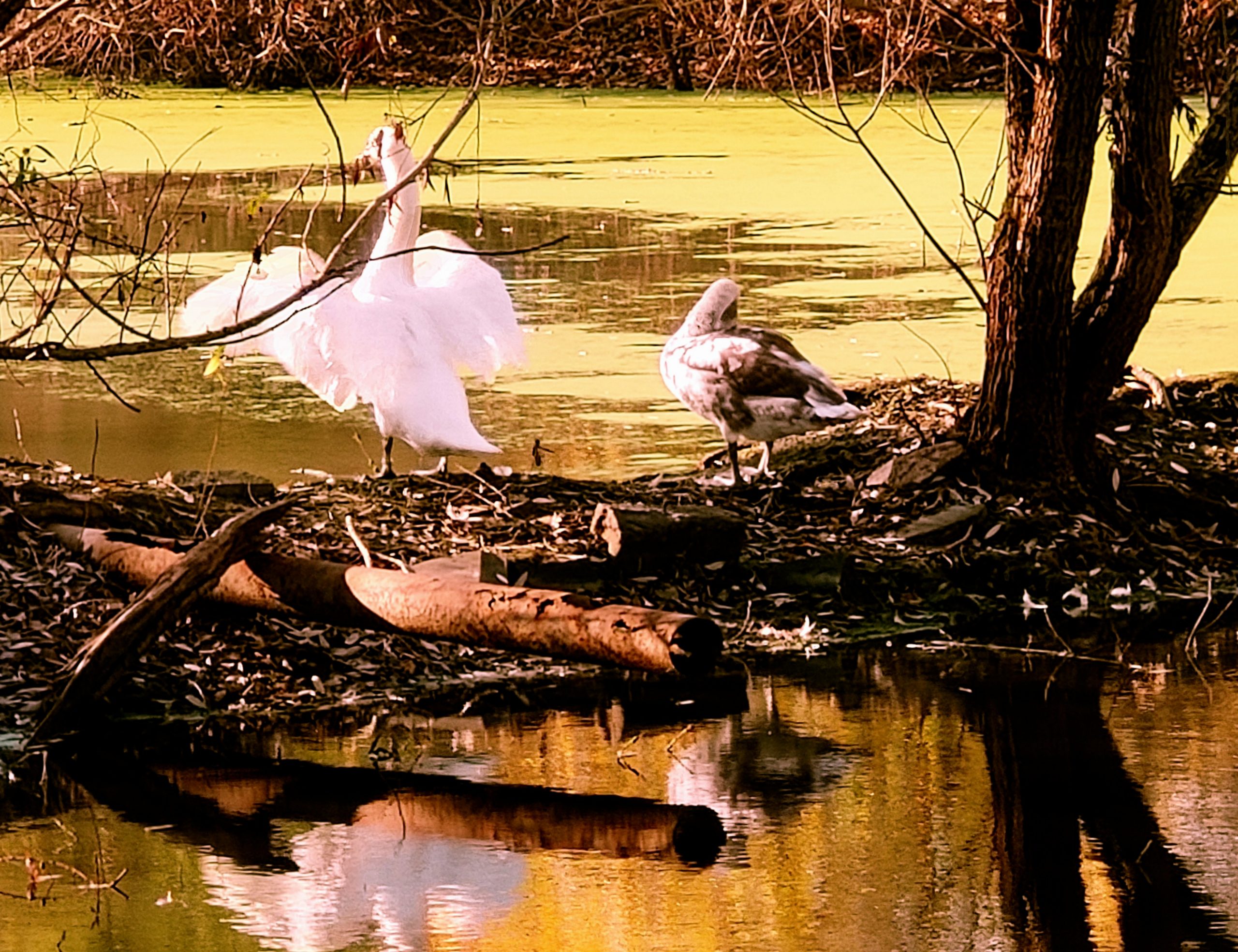 Spontaneity - SoberOasis