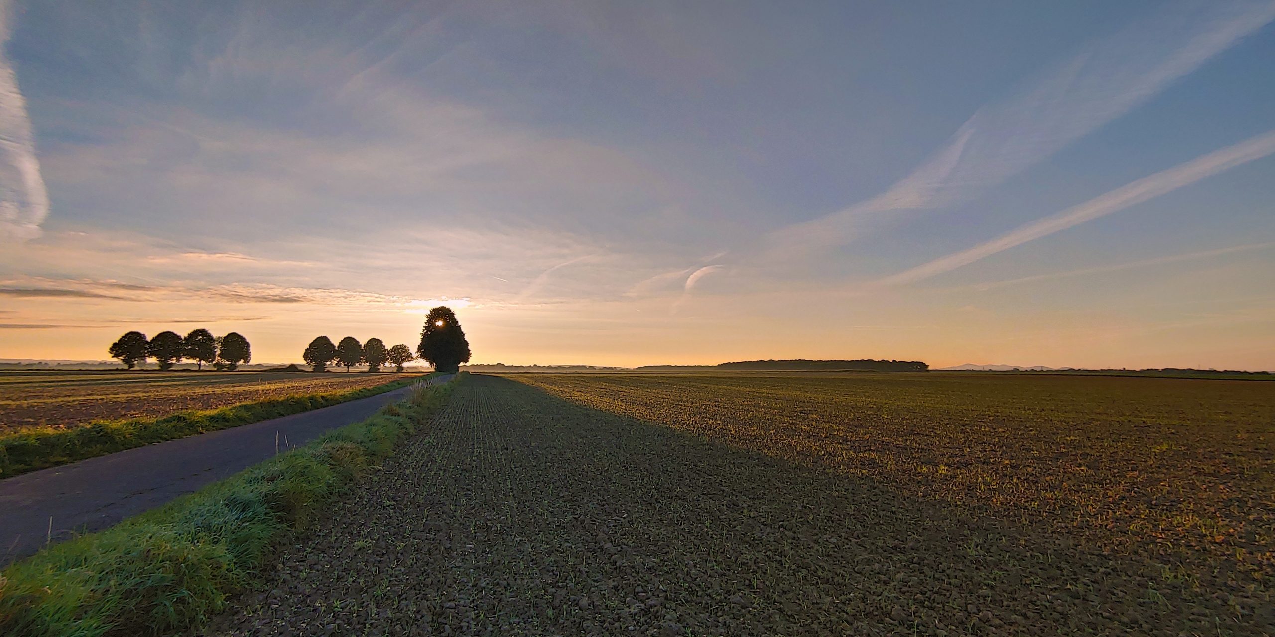 Beginnings - SoberOasis