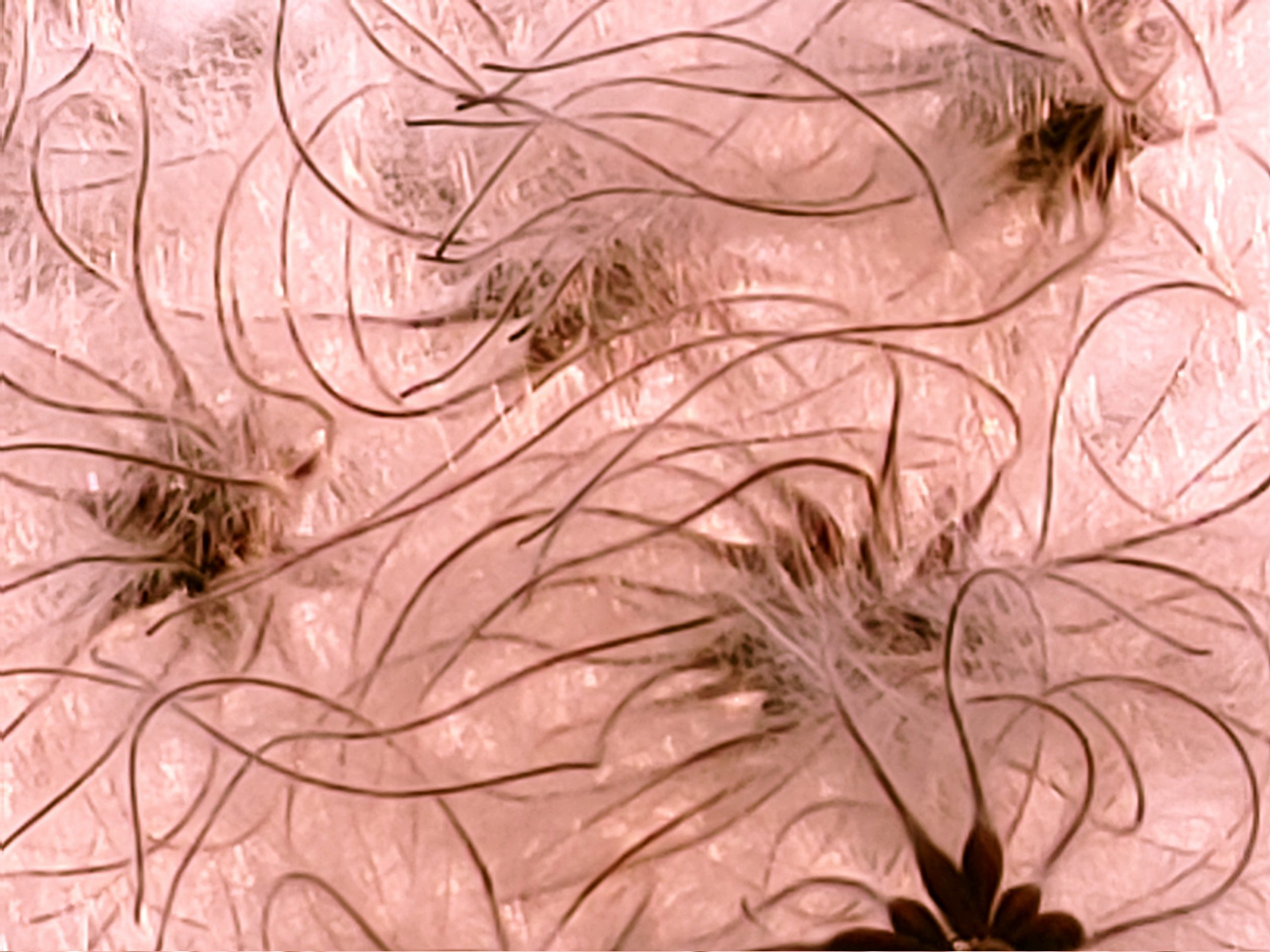 Reconfiguration - SoberOasis