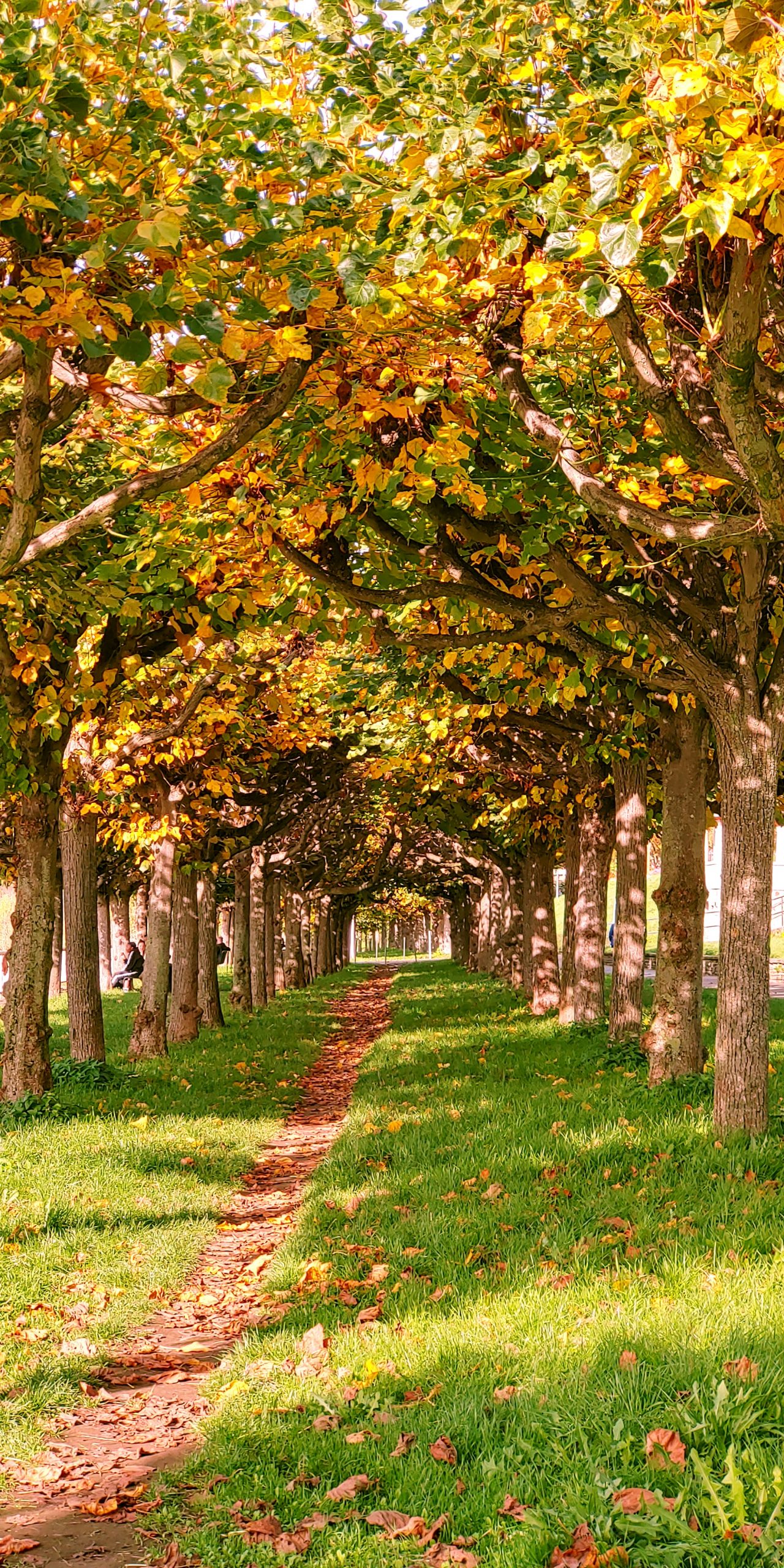 Positive Intelligence - SoberOasis