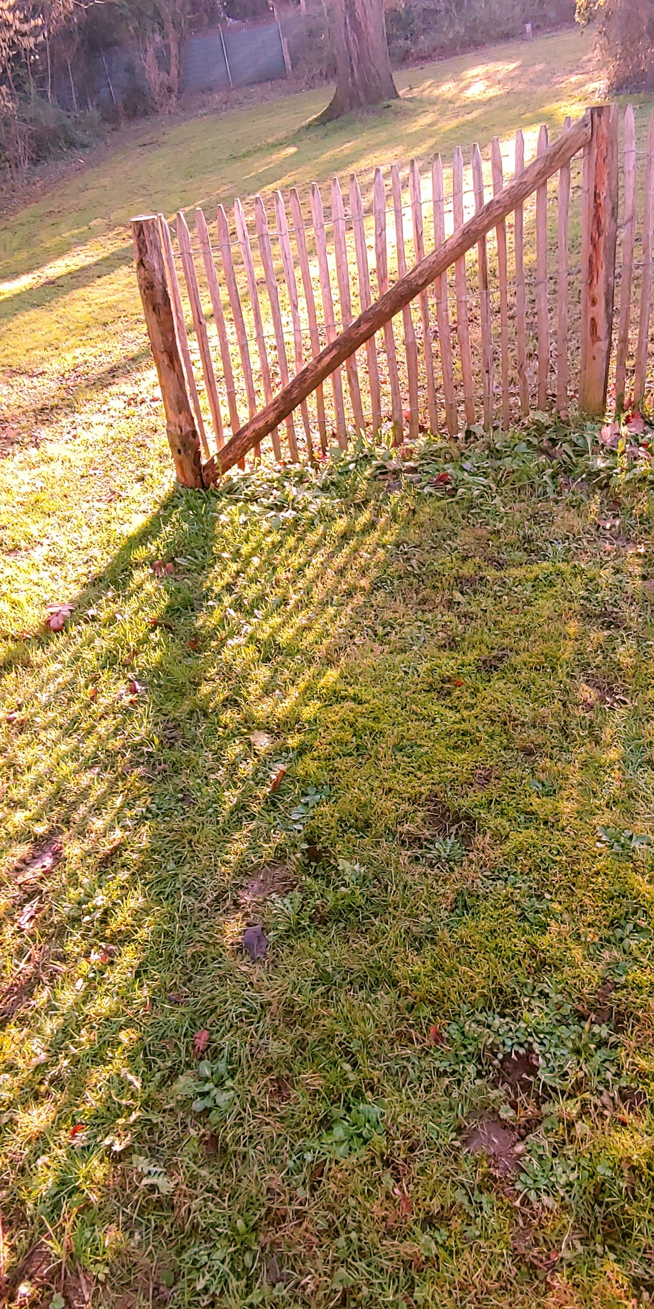 Transference - SoberOasis