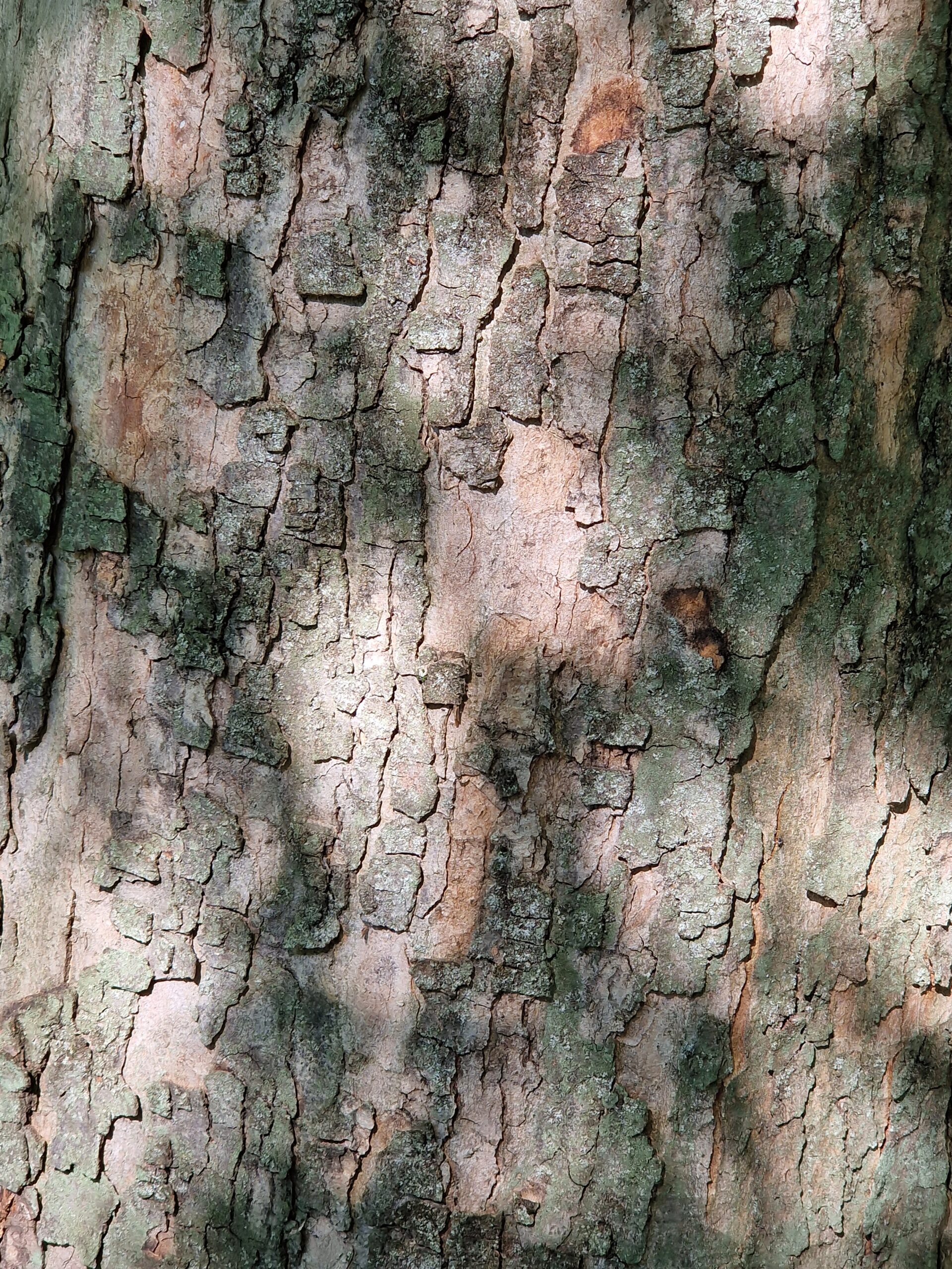 Falling Apart - SoberOasis